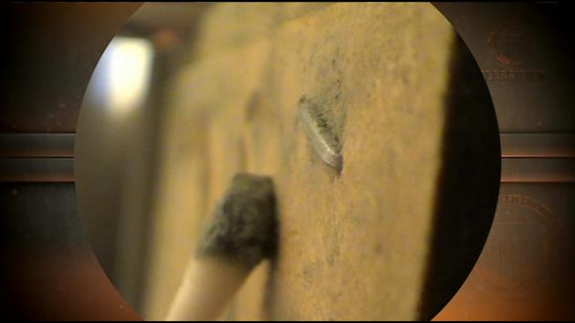 Mold Misery - WSVN 7News | Miami News, Weather, Sports | Fort Lauderdale