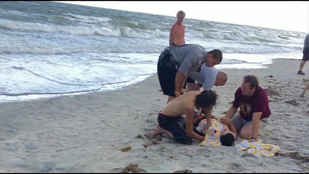jaws attack on beach