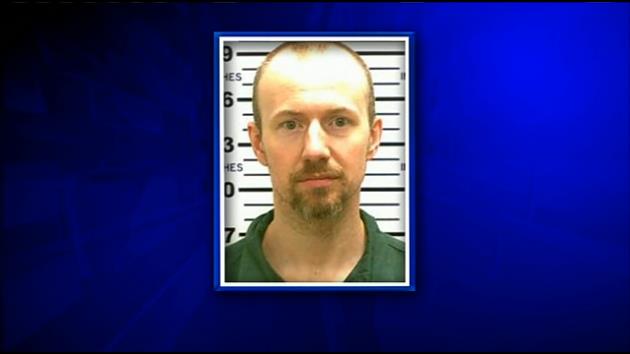 Reports: Escaped inmate David Sweat shot, in custody - WSVN 7News ...
