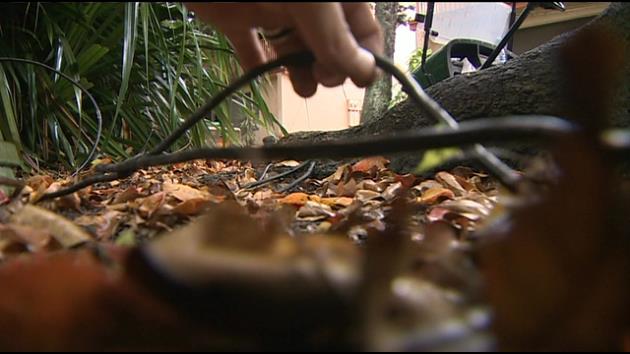 Comcast Cables - WSVN 7News | Miami News, Weather, Sports | Fort Lauderdale