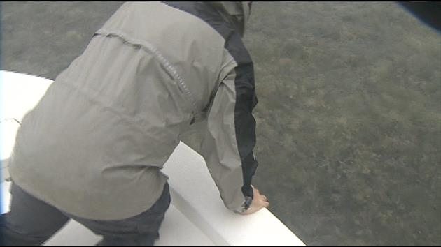Too much salt in Florida Keys concern fishermen, ecologists - WSVN ...