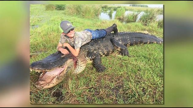 Florida hunters bag 15-foot gator - WSVN 7News | Miami News, Weather ...