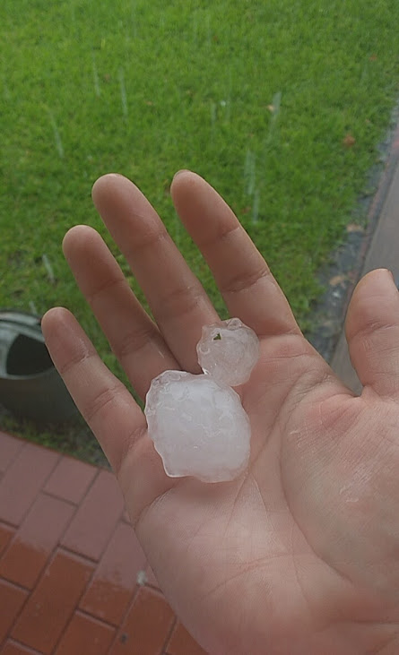 PHOTOS: Hail comes down in Southwest Miami-Dade - WSVN 7News | Miami ...