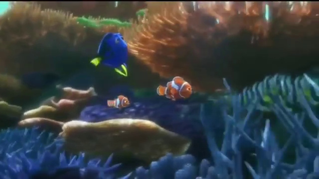 Florida project breeds ‘Finding Dory’ fish in captivity - WSVN 7News ...