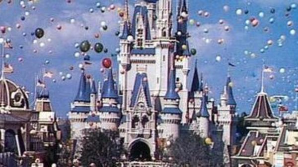 Disney employee accused of impersonating FBI agent - WSVN 7News | Miami ...