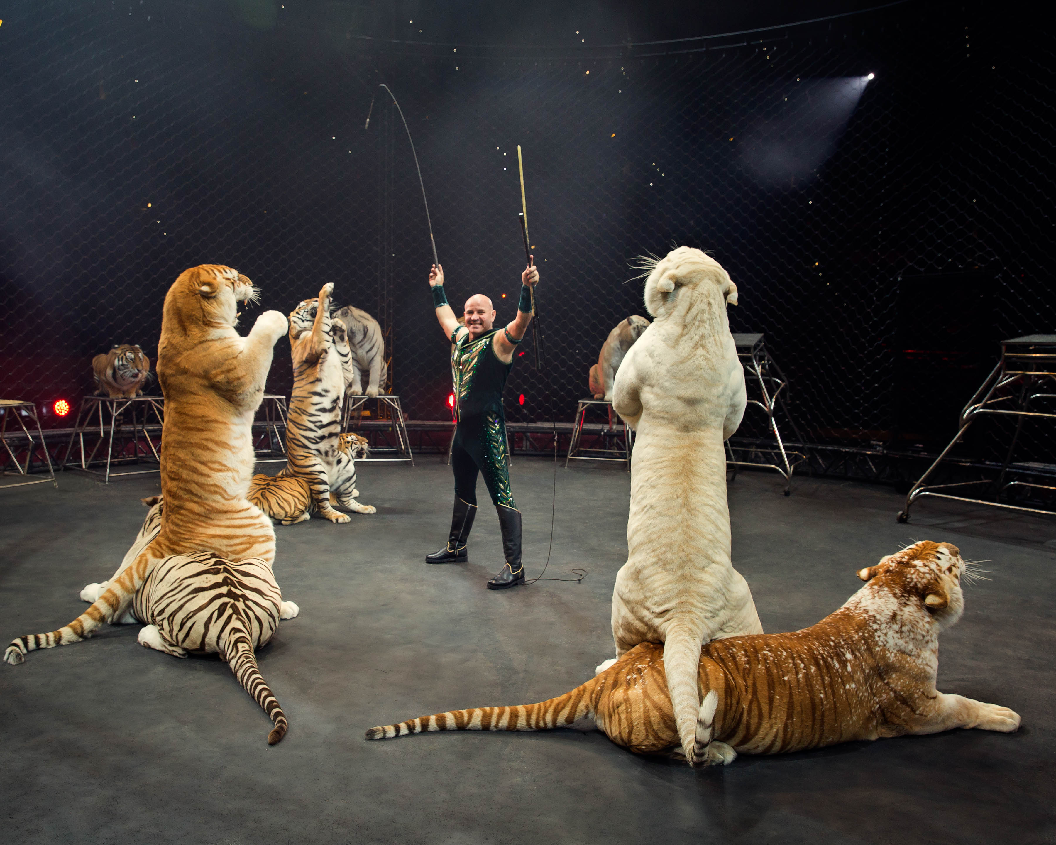 Lions and tigers and smartphones: The circus now has an app - WSVN ...