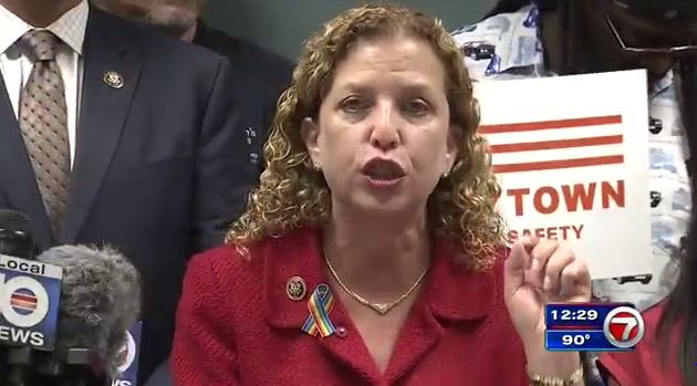 Ousted from DNC, Wasserman Schultz fighting to stay in House - WSVN ...