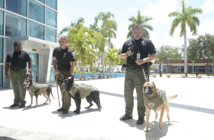 North Miami Beach K-9 officers get bulletproof vests from non-profit ...