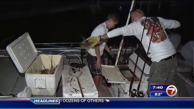 Lobster mini-season ends tonight – WSVN 7News | Miami News, Weather ...