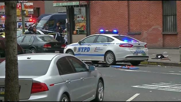 Glass panel falls, kills worker at NYC skyscraper site - WSVN 7News ...