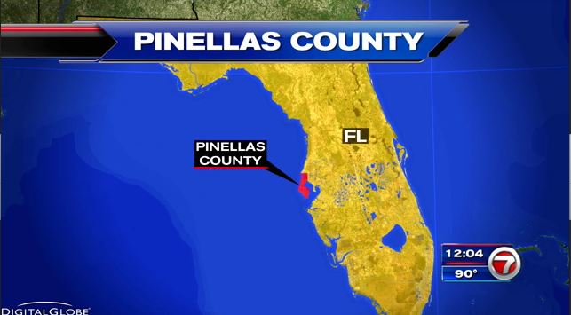 Florida: 5 new Zika cases including 1 in the Tampa Bay area - WSVN ...