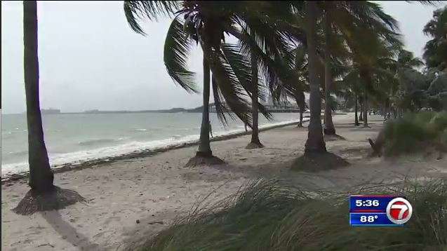 Swim advisory lifted for Virginia Key Dog Beach - WSVN 7News | Miami ...