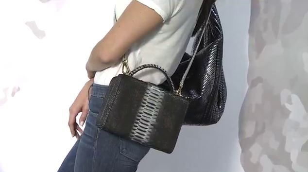 Ximena Kavalekas Python Bags - WSVN 7News | Miami News, Weather, Sports ...
