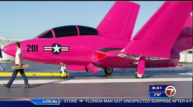 Fighter jet painted pink for Breast Cancer Awareness Month - WSVN 7News ...