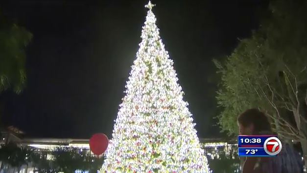 50-foot tree lights up in annual Merrick Park tree lighting - WSVN ...