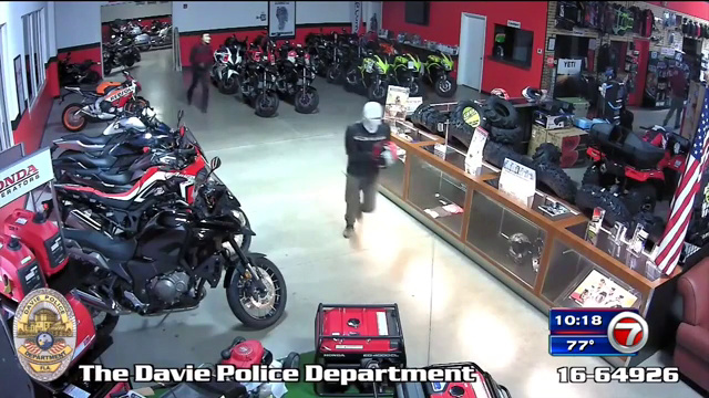 Police searching for 4 in burglary at Davie motorcycle shop - WSVN ...