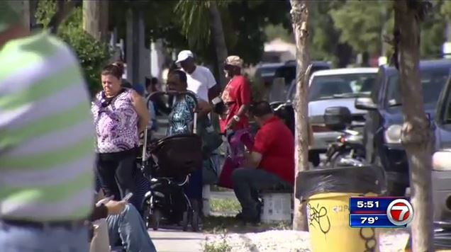 Camacol hosts annual holiday food distribution drive - WSVN 7News ...