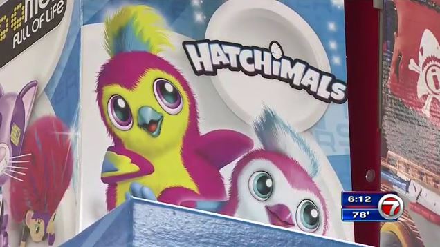 Parents claim Hatchimals swear in their sleep - WSVN 7News | Miami News ...