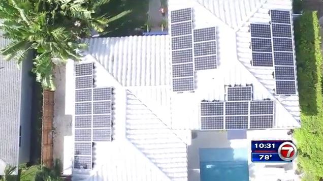 Solar Panel Showdown - WSVN 7News | Miami News, Weather, Sports | Fort ...