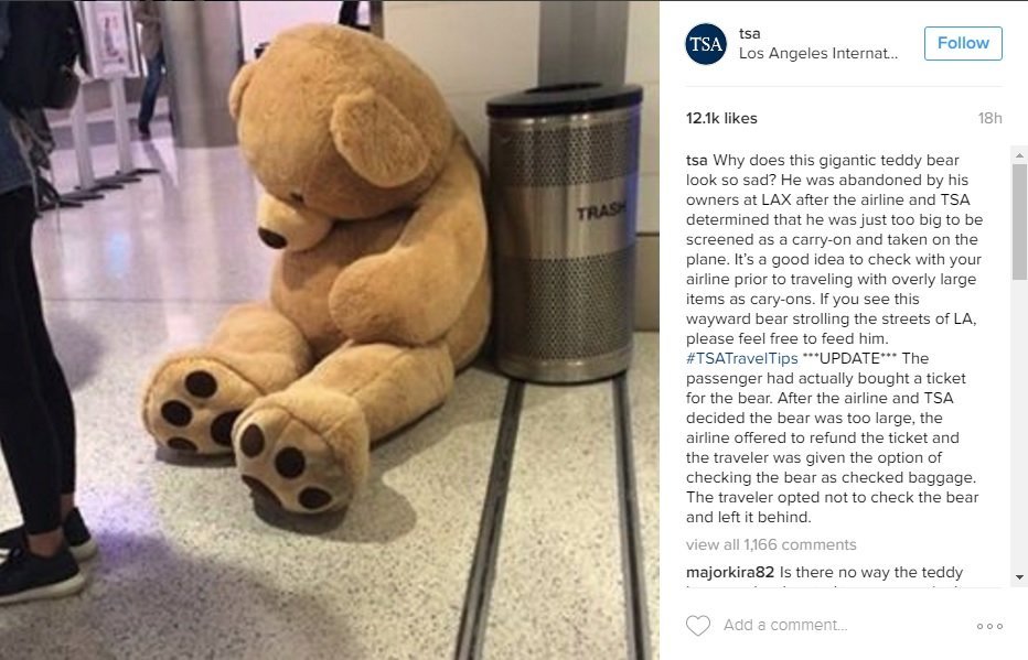 TSA posts depressing teddy bear Instagram story, receives backlash from ...