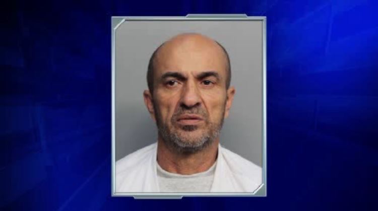 Hialeah purse snatcher caught on surveillance, arrested - WSVN 7News ...