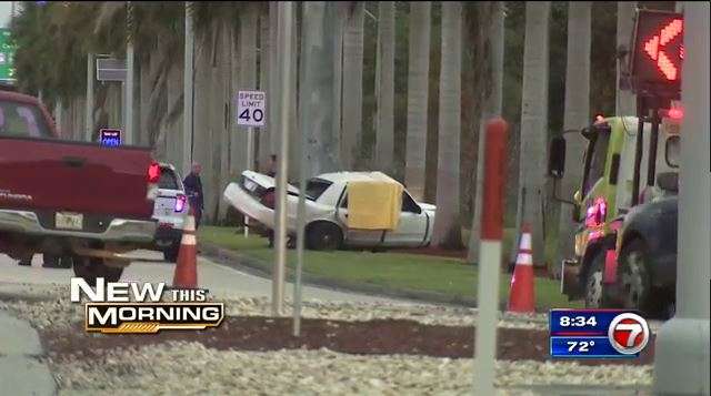 1 dead after car crashes into tree in Miami - WSVN 7News | Miami News ...