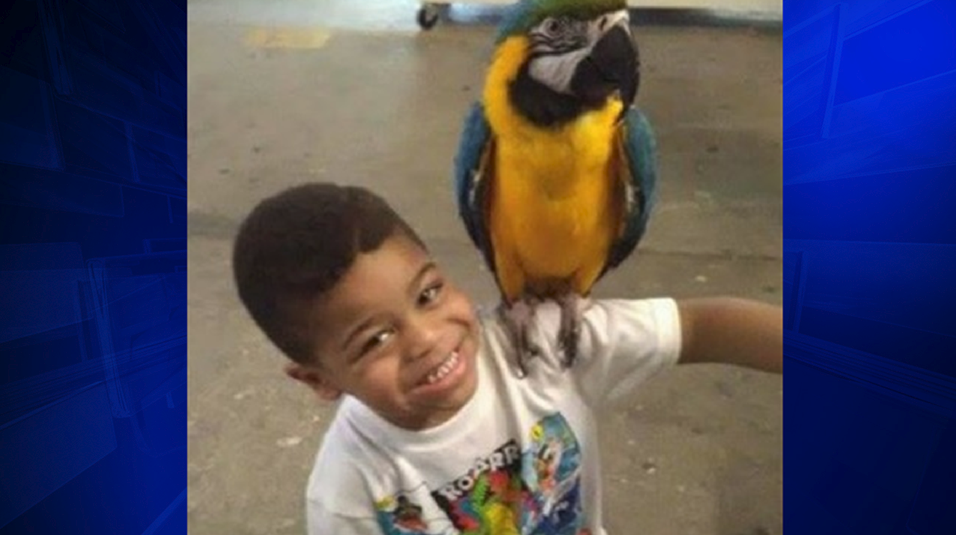 4-year-old boy dies after accidentally shooting himself in central ...