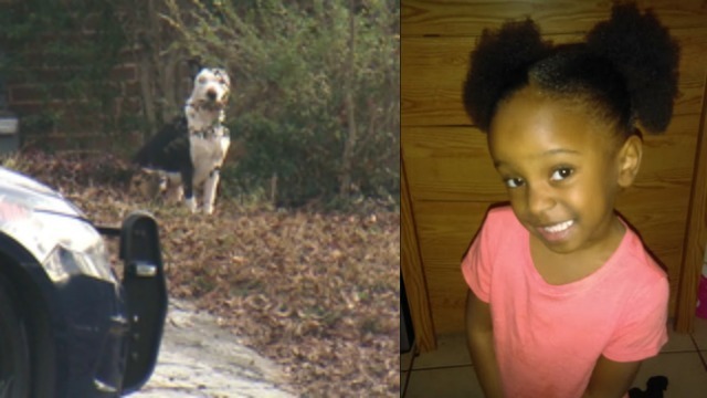 1 child dies, 2 children injured in pit bull attack in Atlanta - WSVN ...