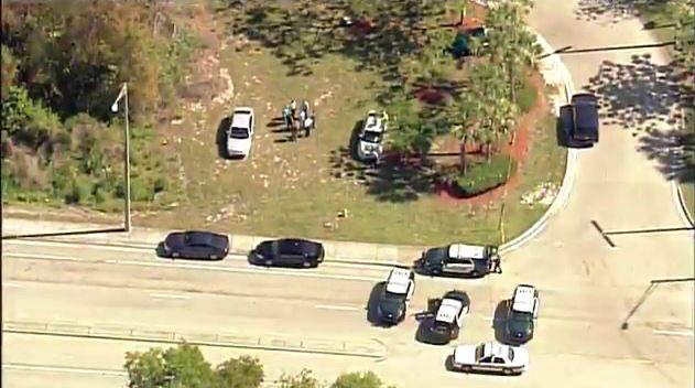 Skeletal remains discovered in Pompano Beach field - WSVN 7News | Miami ...