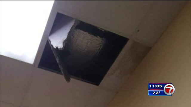 FIU student struck by classroom ceiling tile - WSVN 7News | Miami News ...