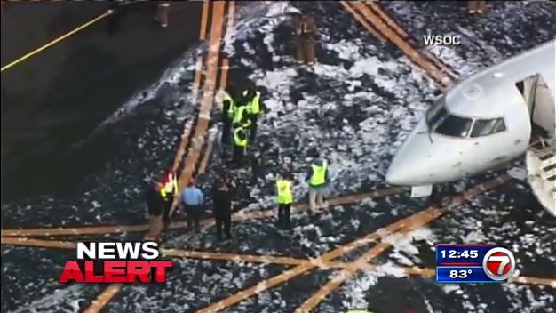 American Eagle jet hits deer on takeoff, returns to airport - WSVN ...