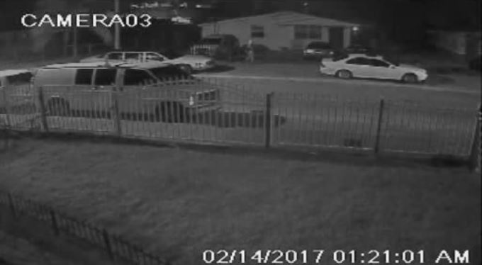 Surveillance Camera Captures Valentines Day Armed Robbery Wsvn 7news