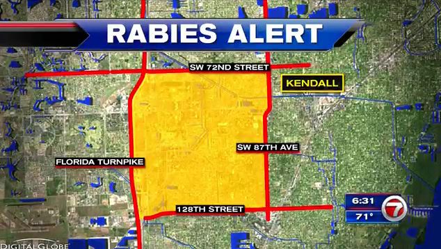 Rabies zone extended in Miami-Dade County - WSVN 7News | Miami News ...