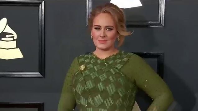 Joint custody of son, no spousal support in Adele divorce - WSVN 7News ...