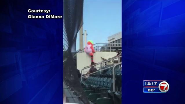 Miami Maniac falls off dugout during Miami-Georgia Tech game – WSVN ...