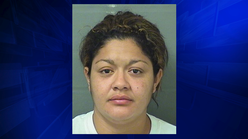 Fla. mom charged with lying about daughter’s kidnapping - WSVN 7News ...