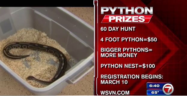 python – WSVN 7News | Miami News, Weather, Sports | Fort Lauderdale