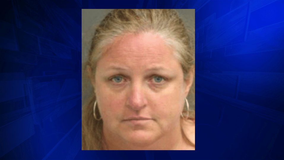 Woman accused of choking teen for blocking view at Disney World - WSVN ...