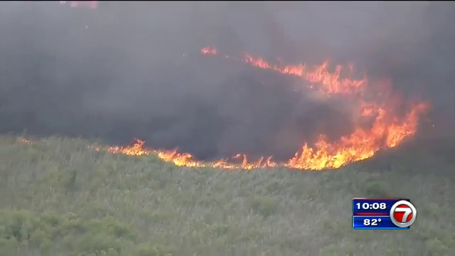 Grass fire in South Miami-Dade burns over 2900 acres - WSVN 7News ...