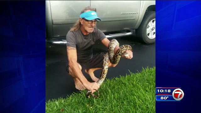 Pembroke Pines man finds python inside garage, is bitten during ...
