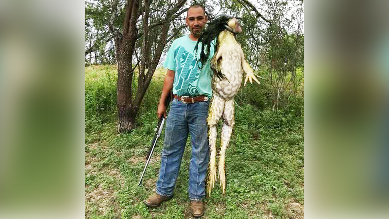 Man catches ‘monster’ bullfrog in pond - WSVN 7News | Miami News ...