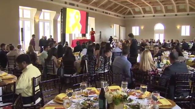 Live Like Bella organization luncheon celebrates milestone - WSVN 7News ...