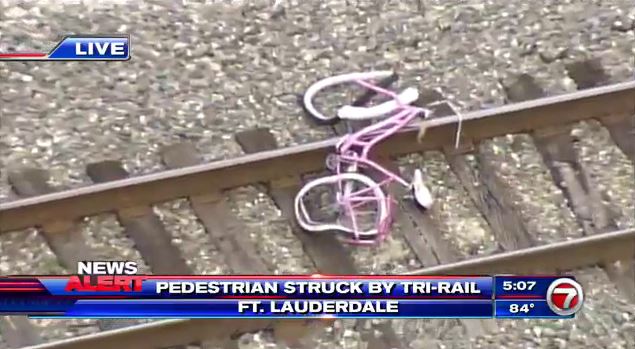 Tri-Rail service stopped after pedestrian struck, killed by train in ...