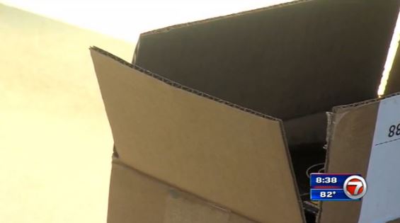 UPS driver caught on camera tossing package outside Stuart home - WSVN ...