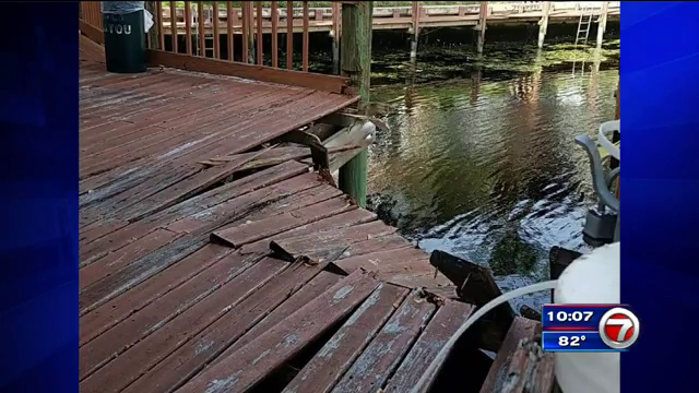 13 fall in water after Boca Raton dock collapses; 3 hurt - WSVN 7News ...