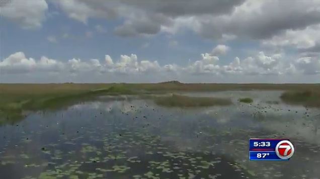 Hit by a hurricane, Everglades National Park adapts to changing climate ...