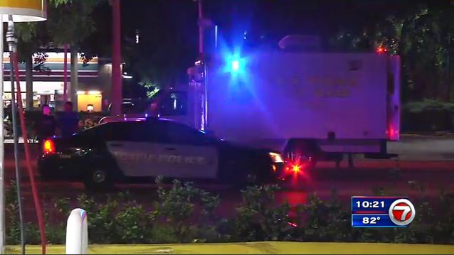 Surveillance video captures deadly hit-and-run in Davie - WSVN 7News ...