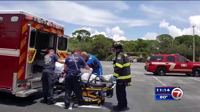 Fort Myers-area golf diver hospitalized after alligator attack - WSVN ...