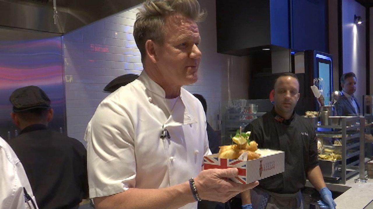Samantha Harris hosts Gordon Ramsay’s new ‘Culinary Genius’ - WSVN ...
