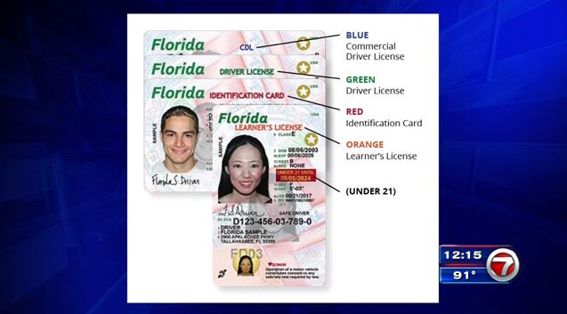 Florida driver’s licenses to get complete makeover - WSVN 7News | Miami ...